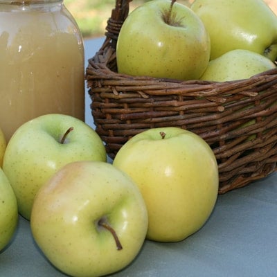 Apple, Grimes Golden [heirloom] | Modern Homestead Home + Garden